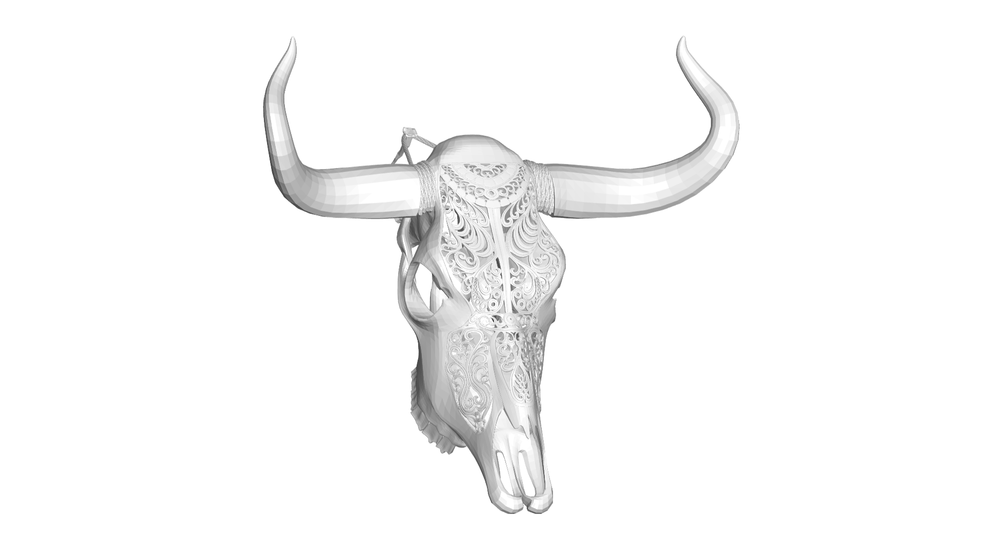 Bull Head Skull