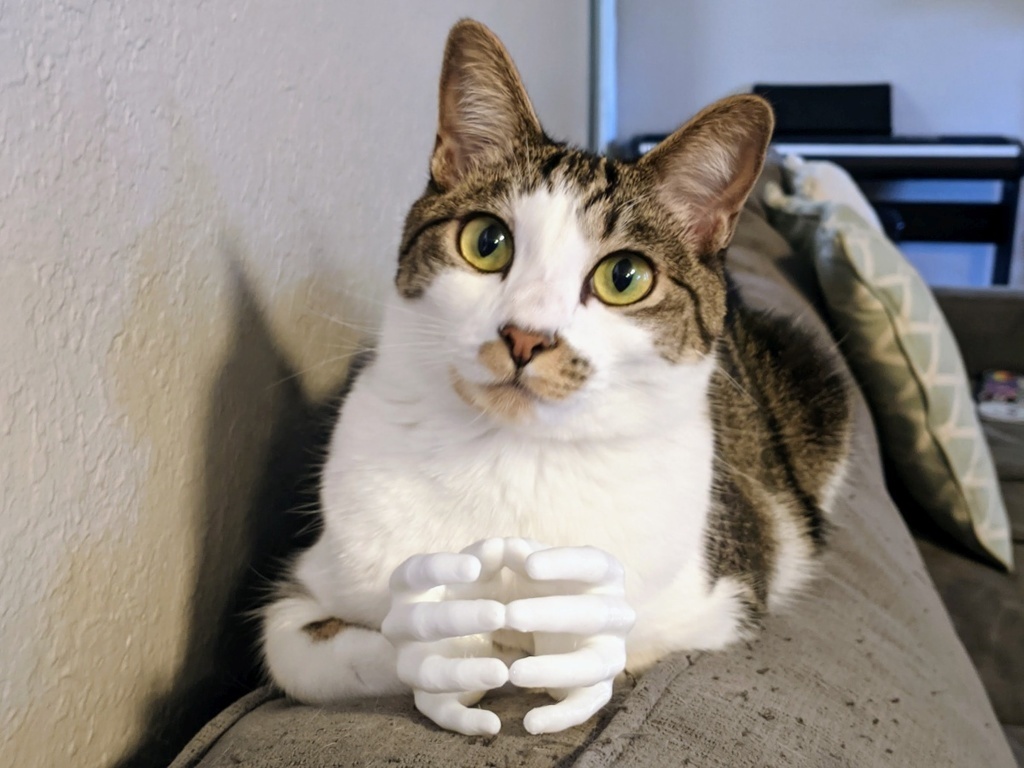 Free 3D file Kitty Hands 🤲・3D printable design to download・Cults