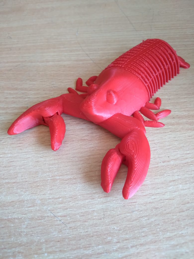 STL file Flexi Sea Lobster・3D print model to download・Cults