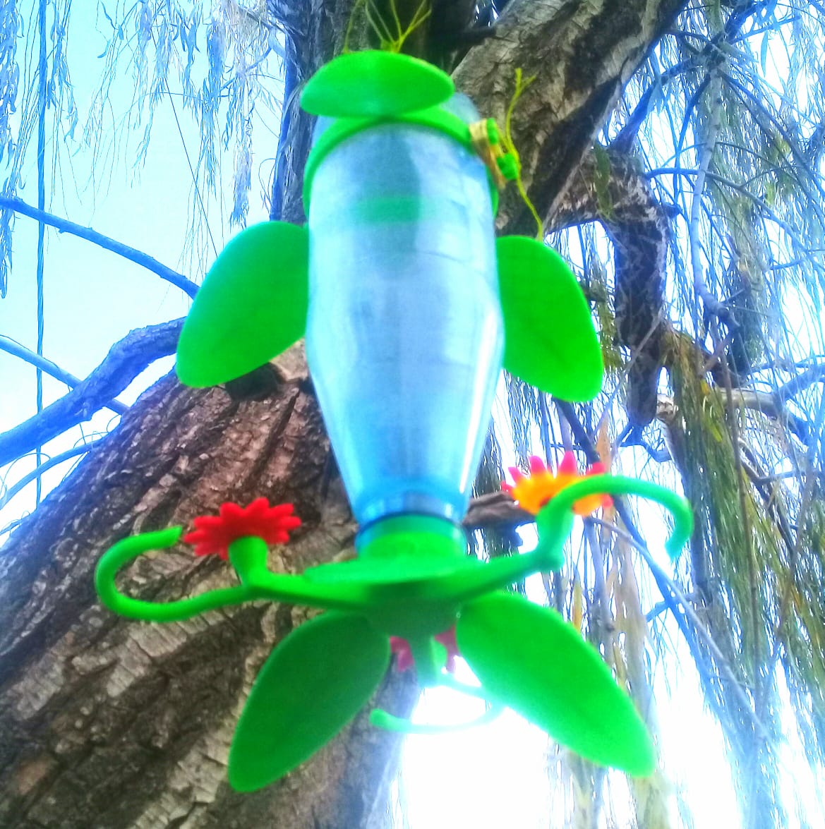 Free STL file Natural hummingbird feeder #ANYCUBICGARDEN・3D printable ...
