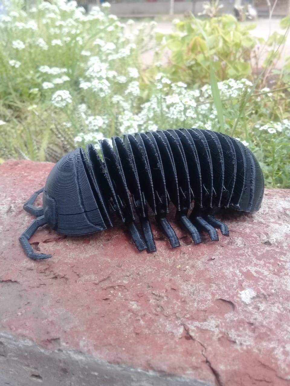 STL file Flexi Isopod・3D printing design to download・Cults