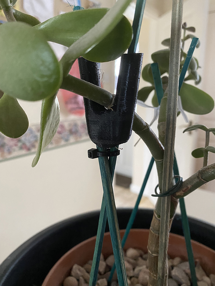 Free STL file Tender Plant Support・3D printable object to download・Cults