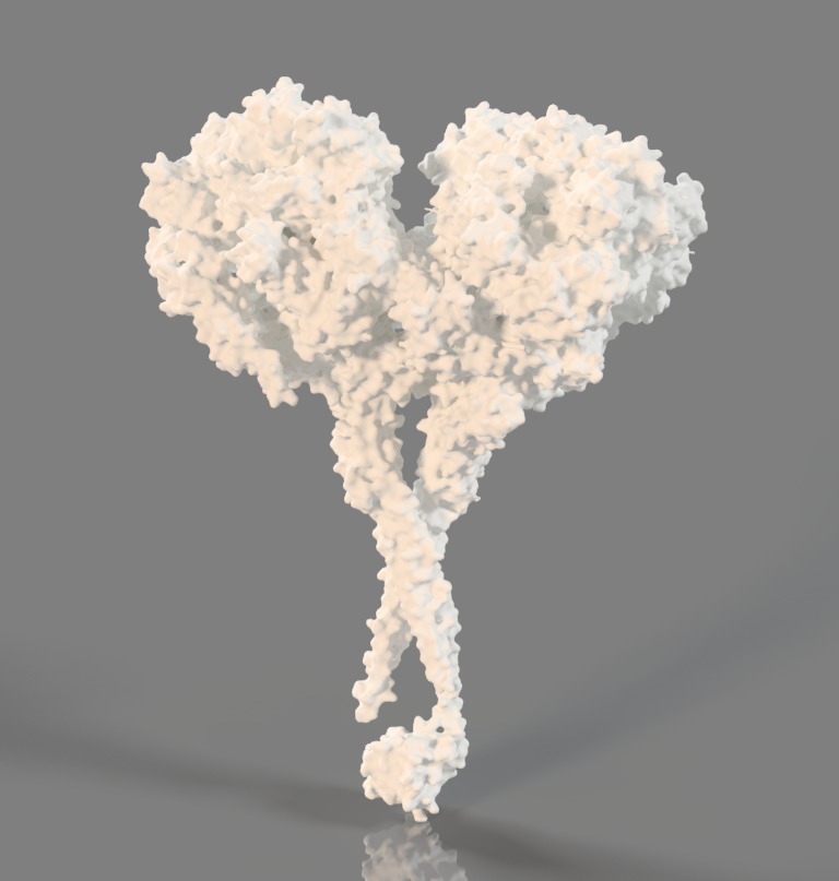Free 3D file Dynein Molecule・3D printing idea to download・Cults