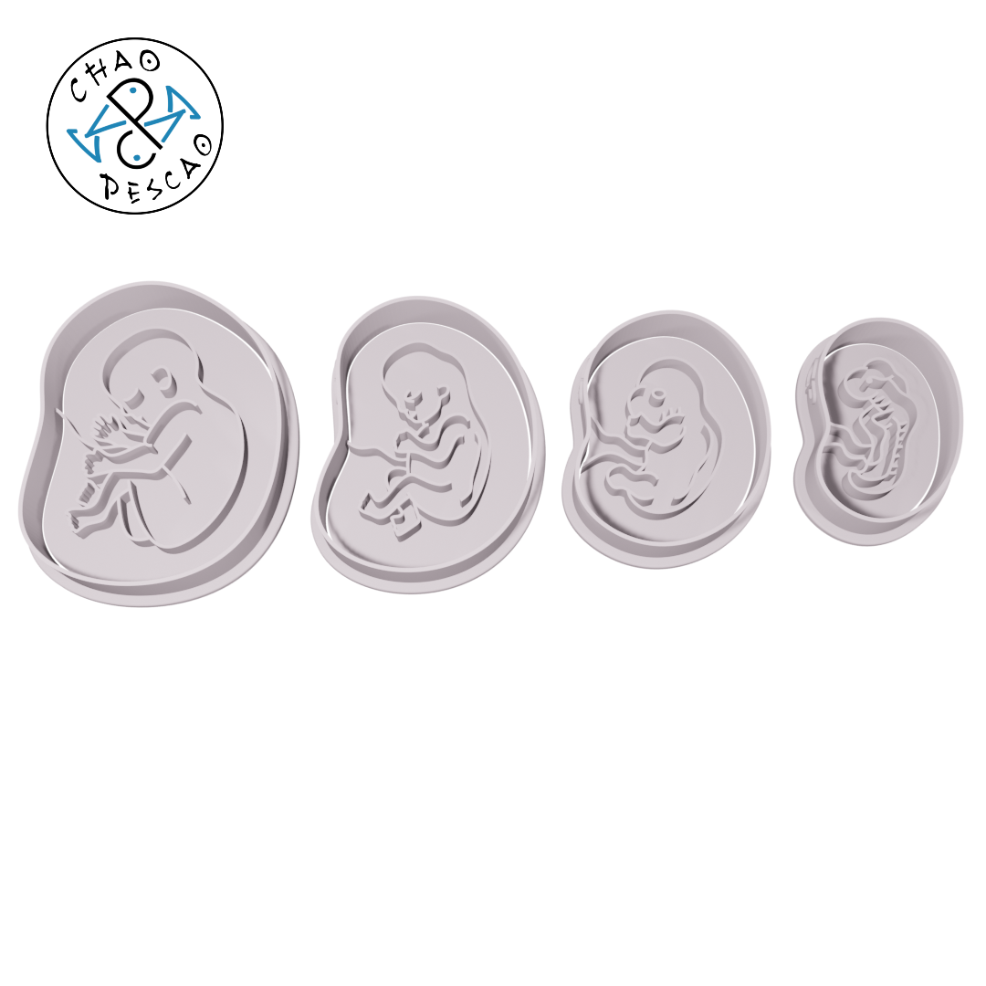 Archivo STL Desarrollo fetal - Cortador de galletas - Fondant - Arcilla ...