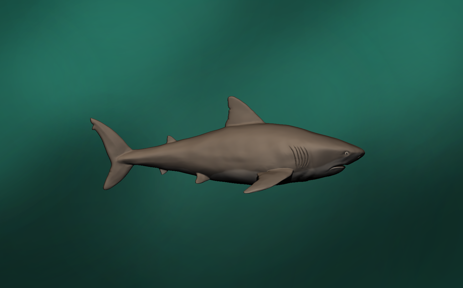 STL file Bull Shark 🐂・3D print design to download・Cults