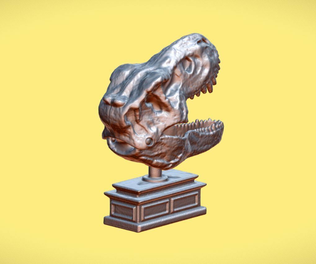 Free 3D file T-REX SKULL TOY - 3D SCAN 🦖・Object to download and to 3D ...