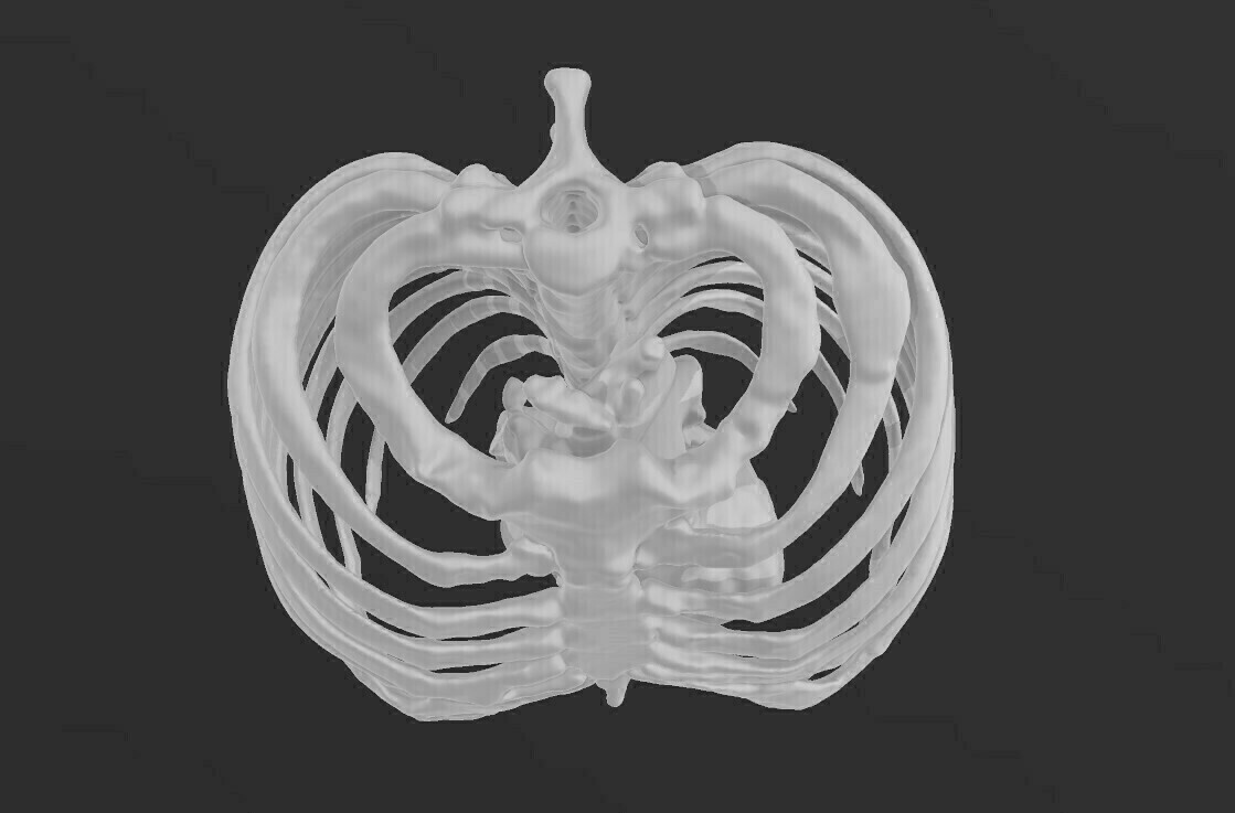 STL file ribs cage toracic・3D printer design to download・Cults