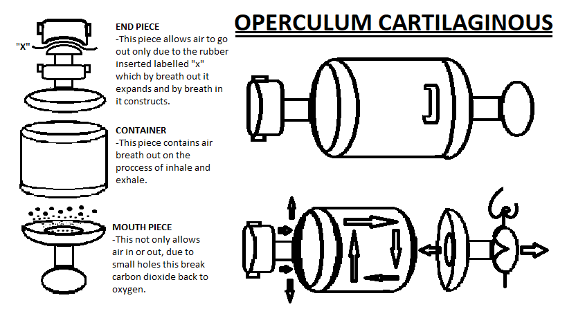 Fichier 3MF Operculum cartilagineux・Modèle pour impression 3D à ...