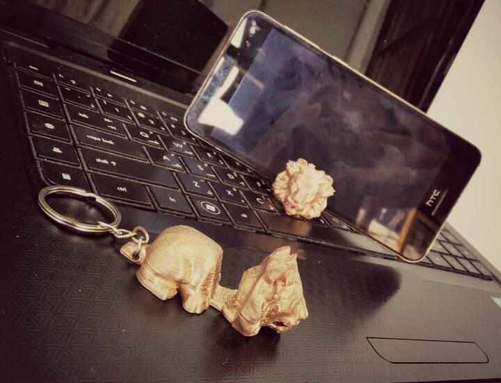 Free STL file LION SMARTPHONE STAND KEYCHAIN・3D printer design to ...