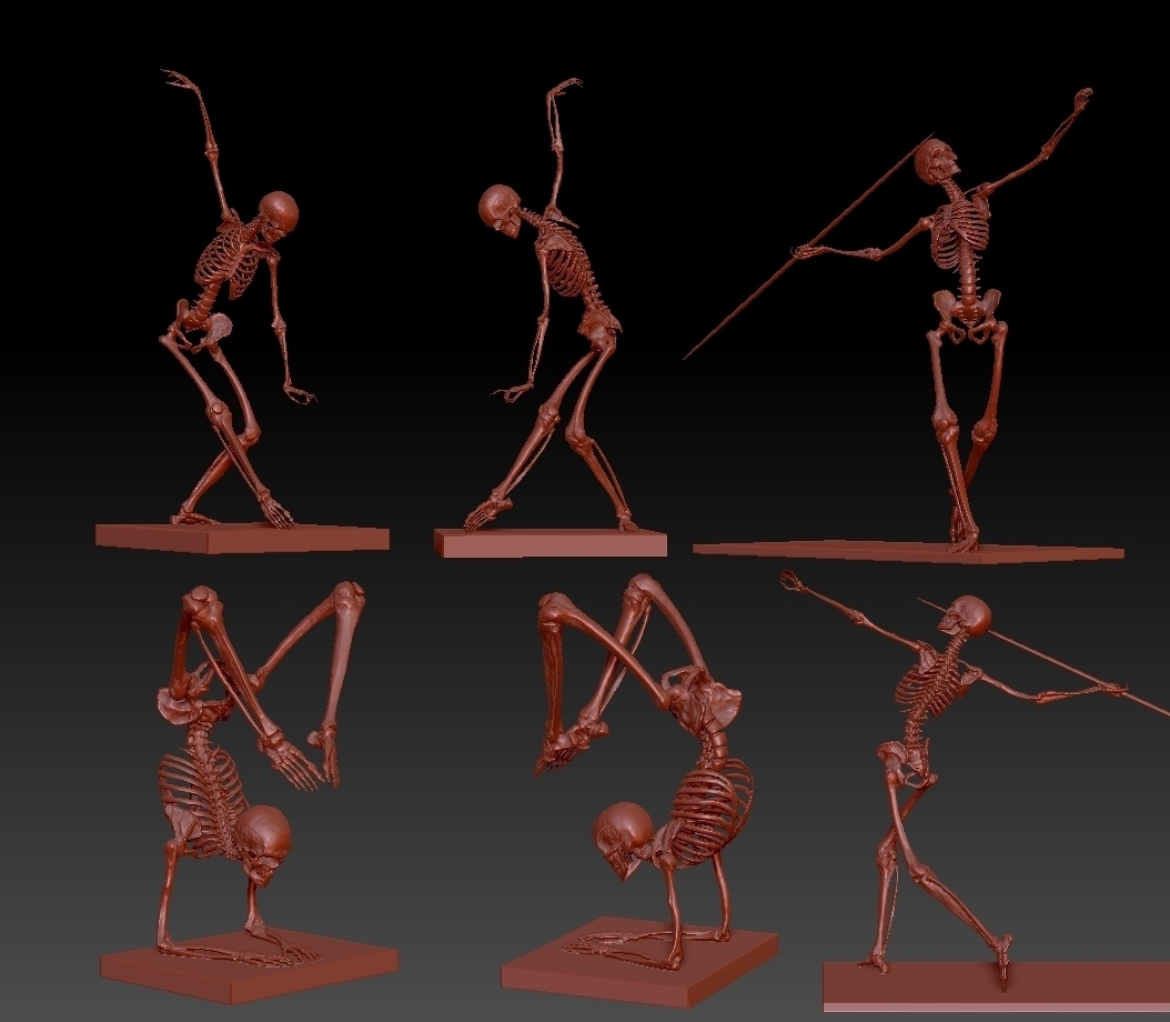 STL file Male and Female Poseable Skeleton・Model to download and 3D ...