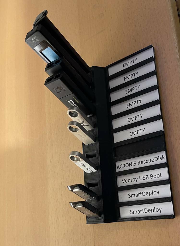 Free 3D file Vertical USB stick holder with label (for 11 USB sticks ...
