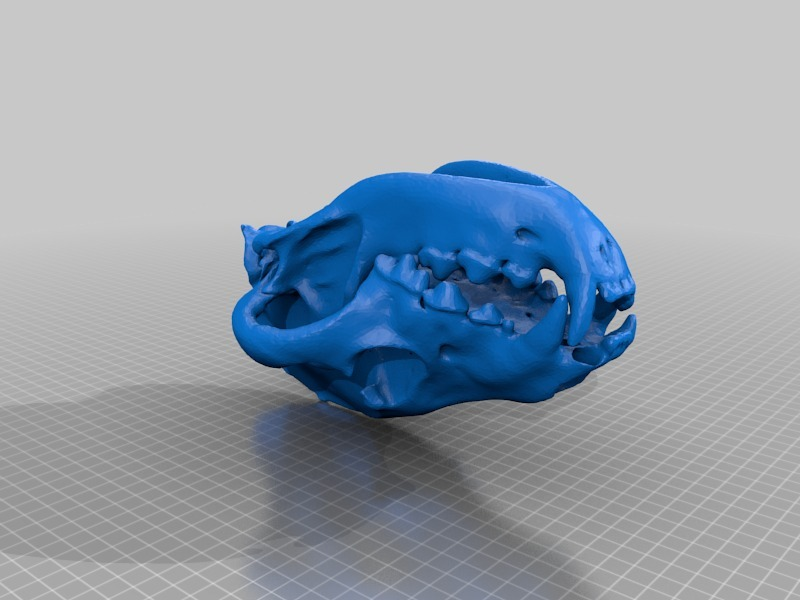 Free 3D file Skulls 🎭・3D printing design to download・Cults