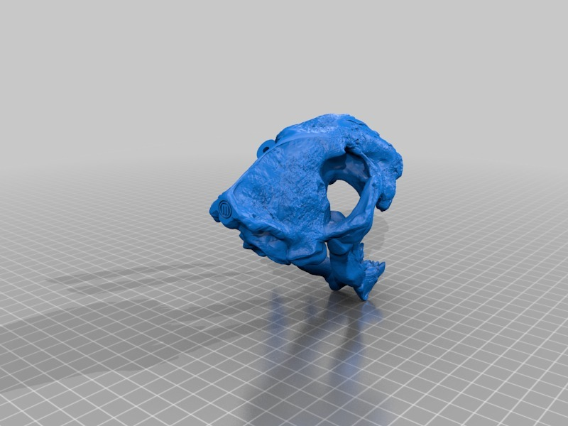 Free 3D file Skulls 🎭・3D printing design to download・Cults