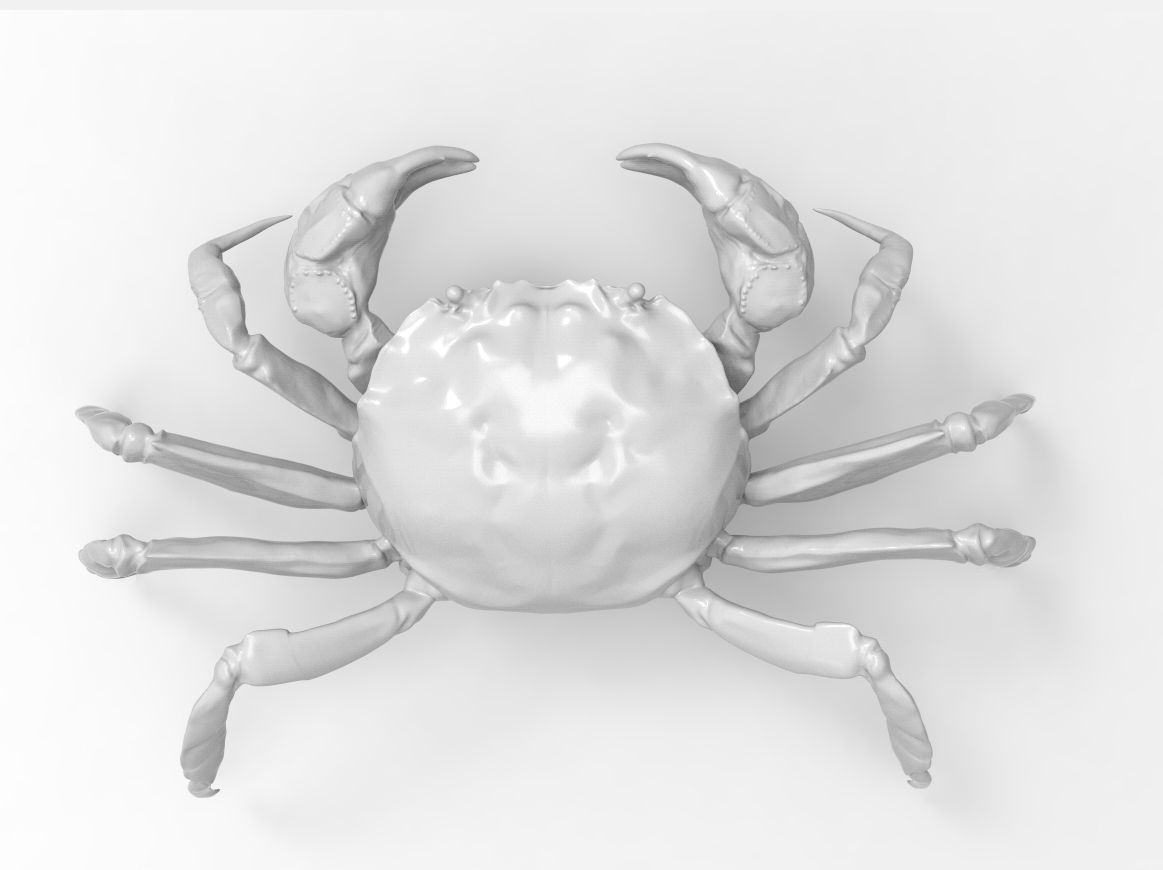 STL file Shanghai hairy crab・3D print design to download・Cults