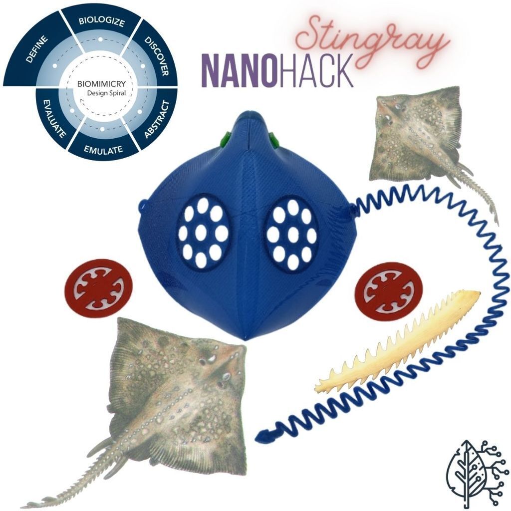 Archivo STL gratis NANO HACK STINGRAY - MÓDULO COMPLETO・Modelo para ...