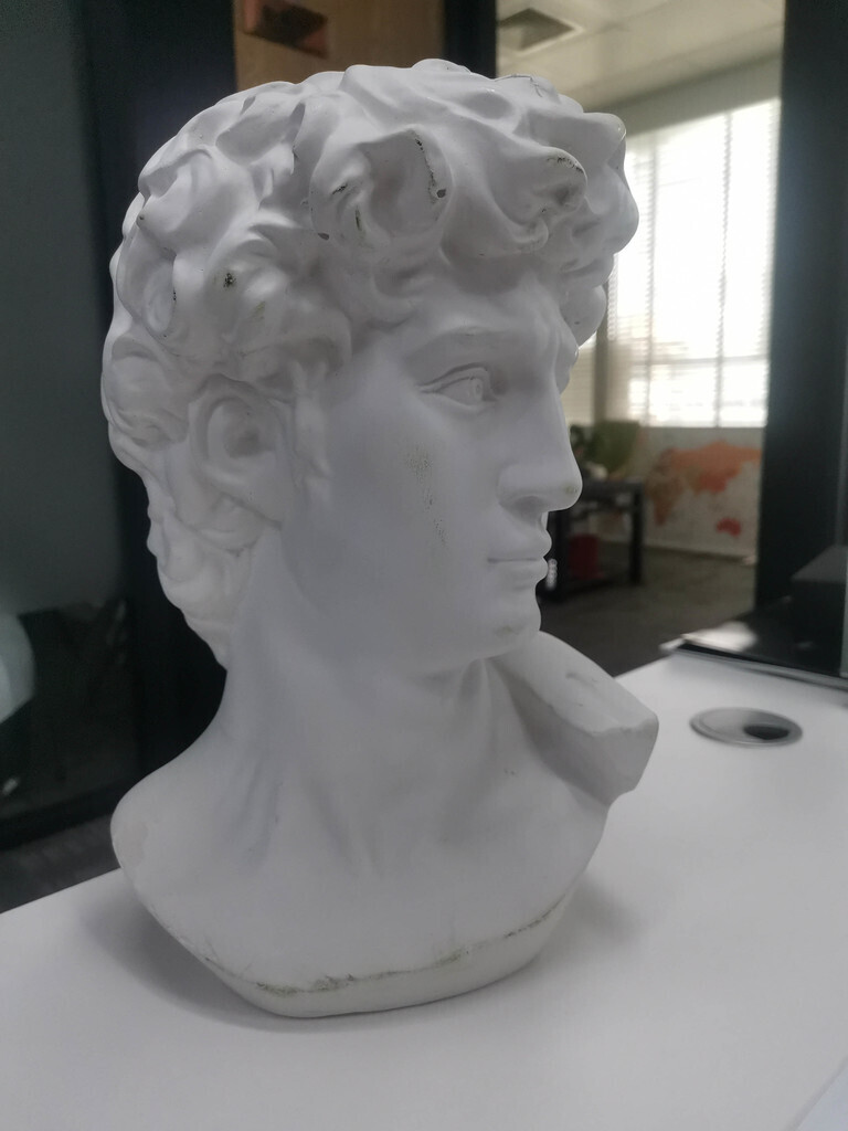 Free STL file David（scanned by Revopoint POP 3D scanner）・3D print ...