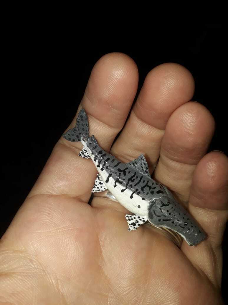 Archivo STL Fish Surubi・Modelo de impresión 3D para descargar・Cults