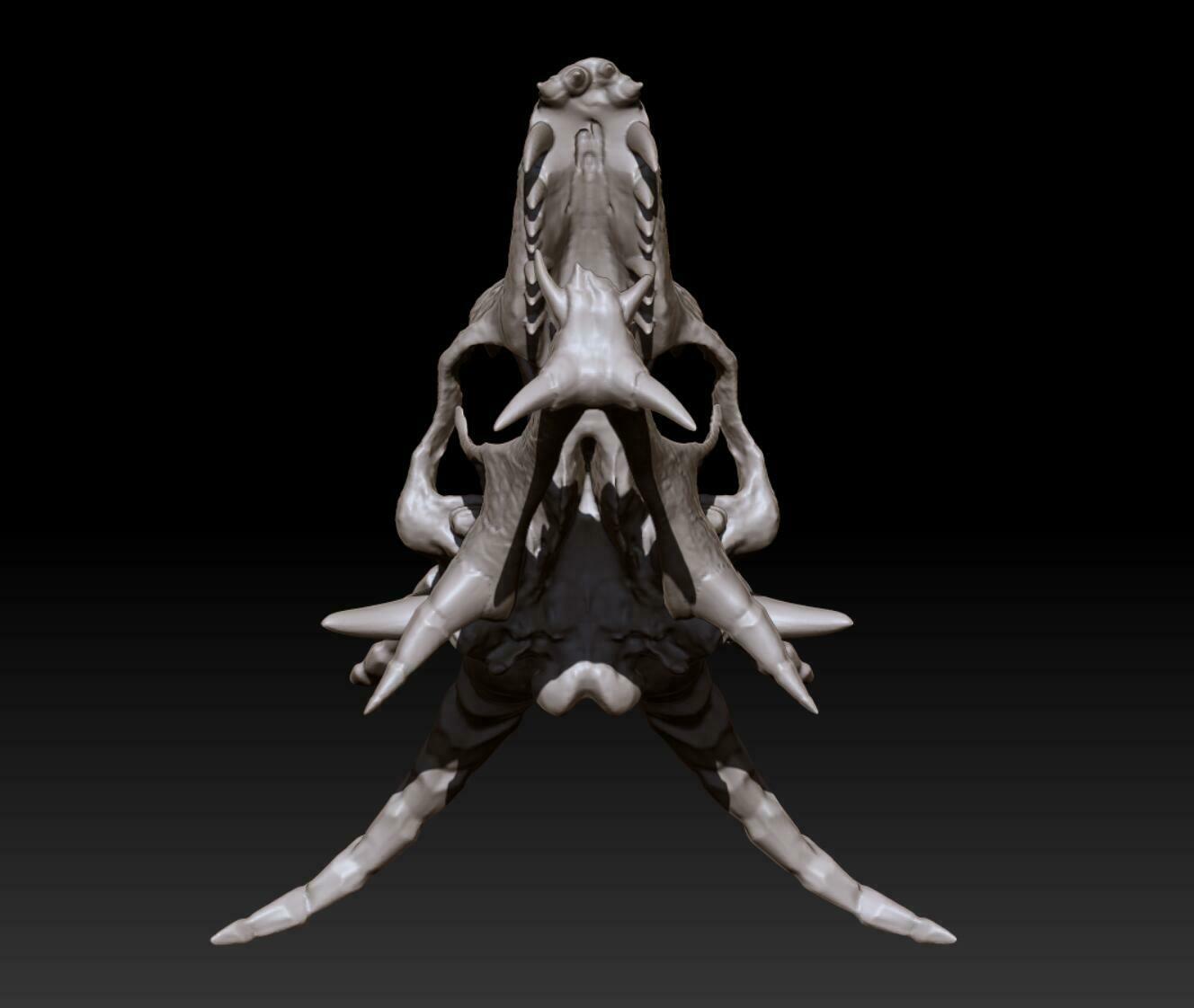 STL file dragon skull・3D print design to download・Cults