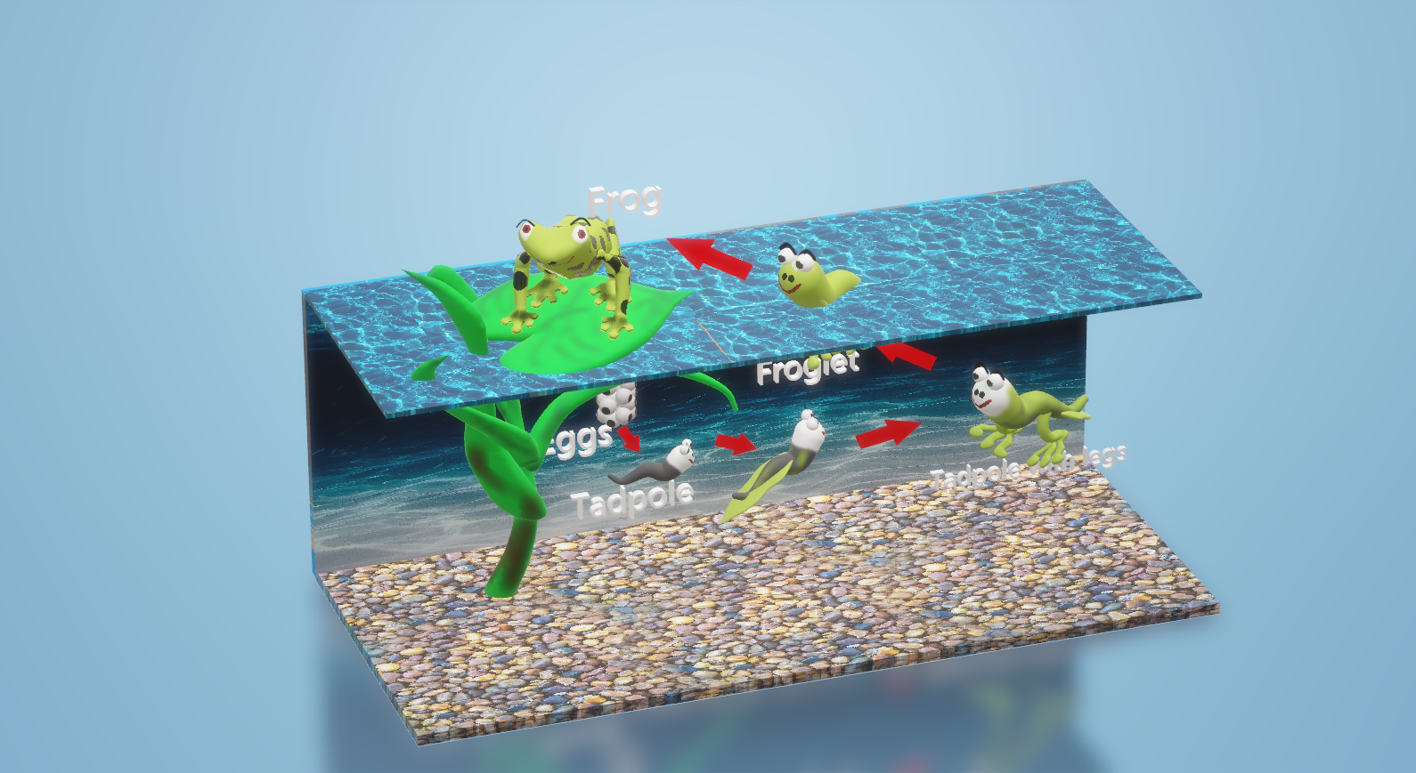 Файл 3D Life cycle of a frog・3D-печатная модель для загрузки・Cults