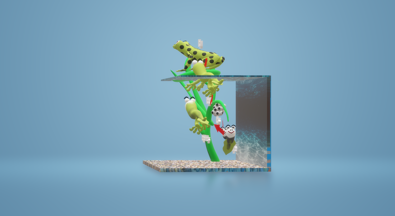 3D file Life cycle of a frog 🐸・3D print model to download・Cults