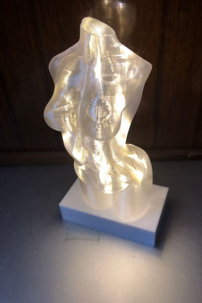 Free 3D file Woman Torso Light・3D printer design to download・Cults