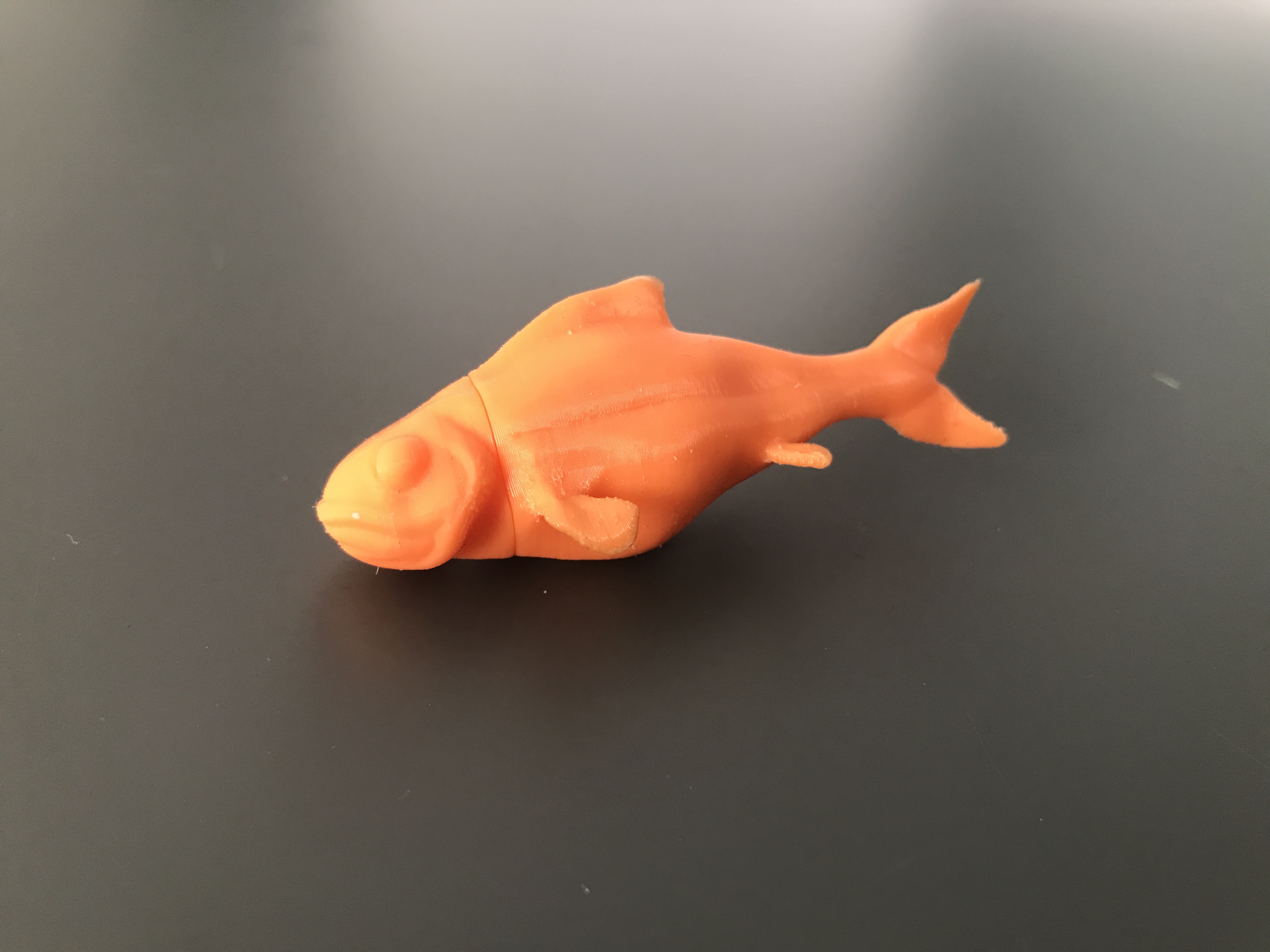 Free STL file Salmon Fish・3D printing template to download・Cults