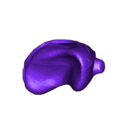 OBJ-Datei Frog Dissection Kit - Separated Organs kostenlos・Vorlage für ...