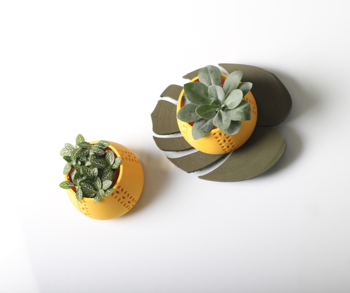 Download free STL file Jungle pot or candle holder + plate • Object to ...