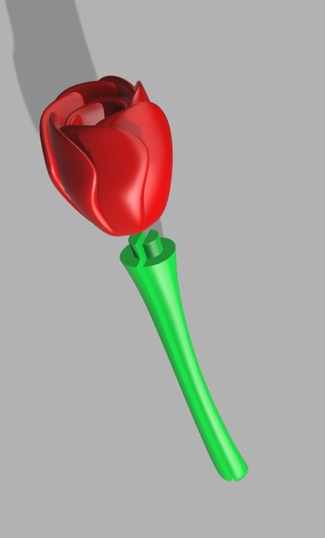 STL file Tulip Flower・Design to download and 3D print・Cults