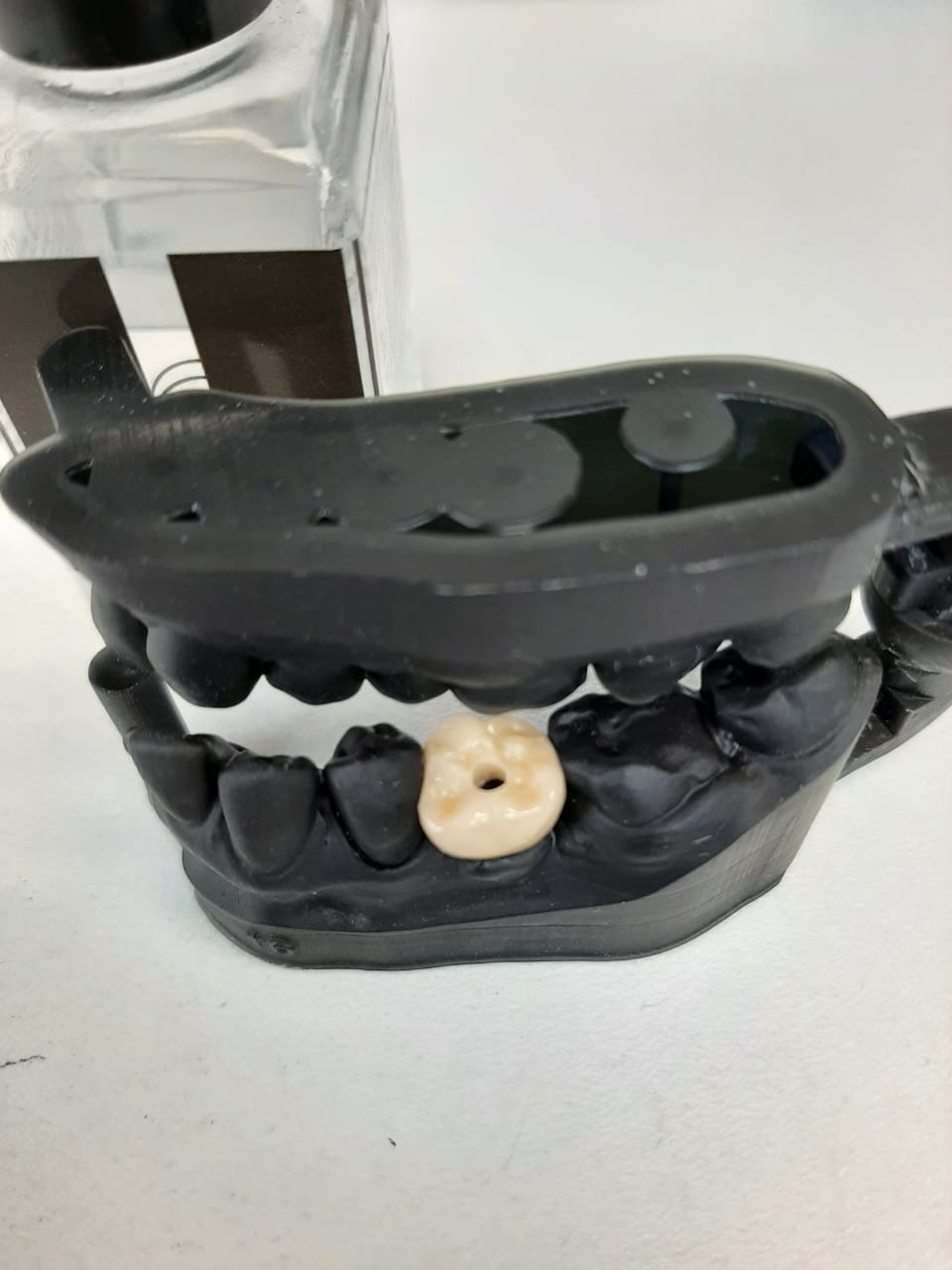 STL file hinge dental articulator 🔧・3D printing model to download・Cults