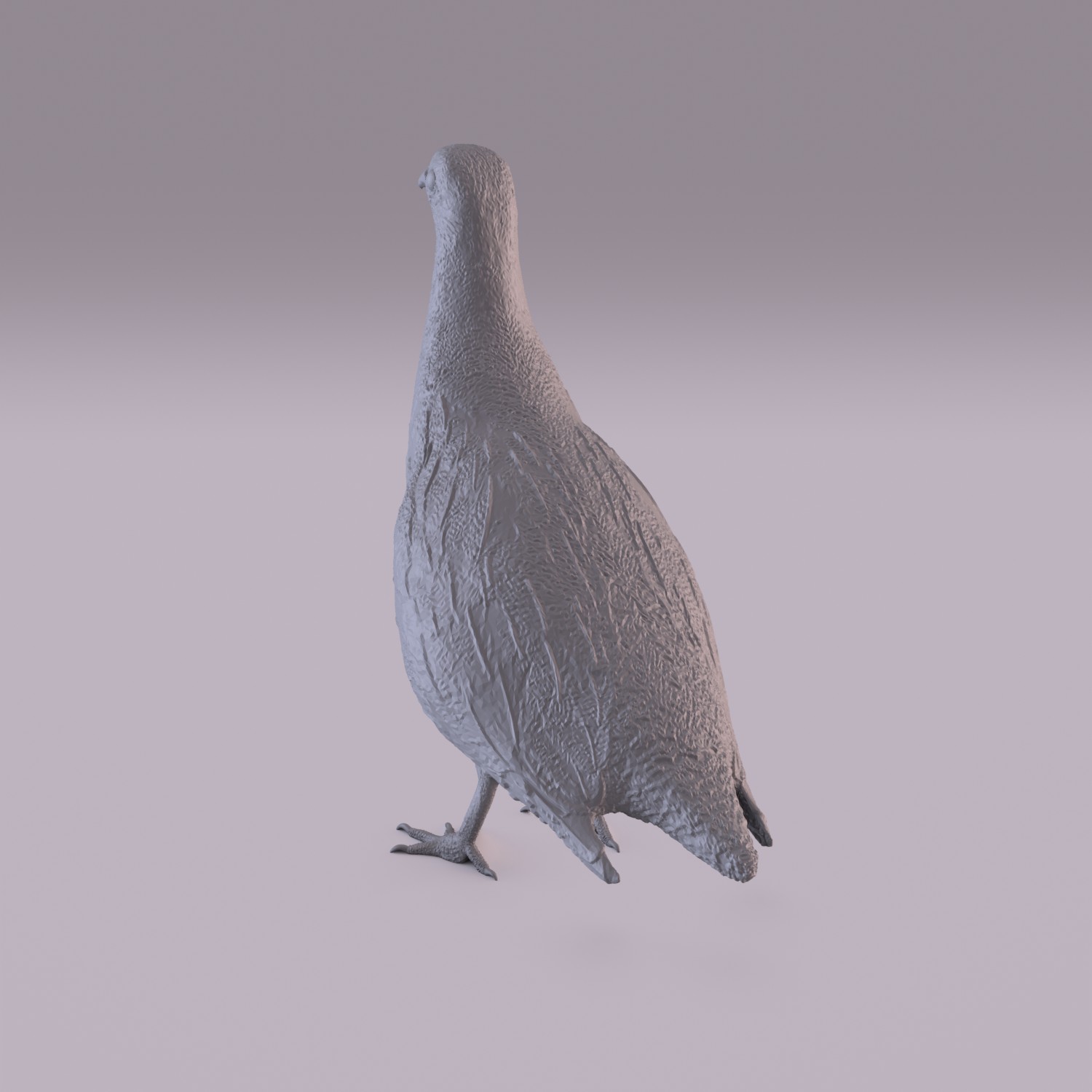 STL file Partridge・3D printable model to download・Cults