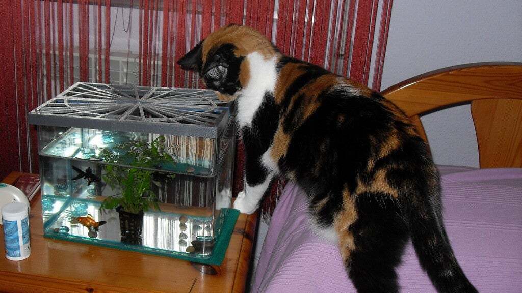 Free STL file Lid for a fish tank 🐠・3D printing idea to download・Cults