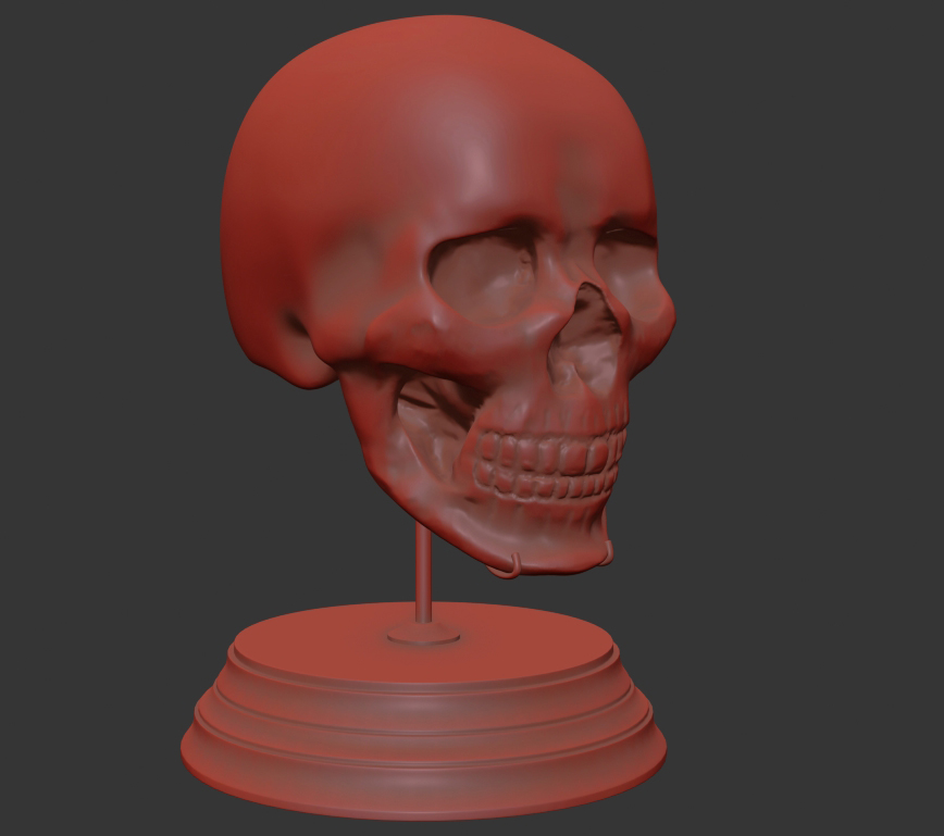 STL file Skull Stand 💀・Design to download and 3D print・Cults