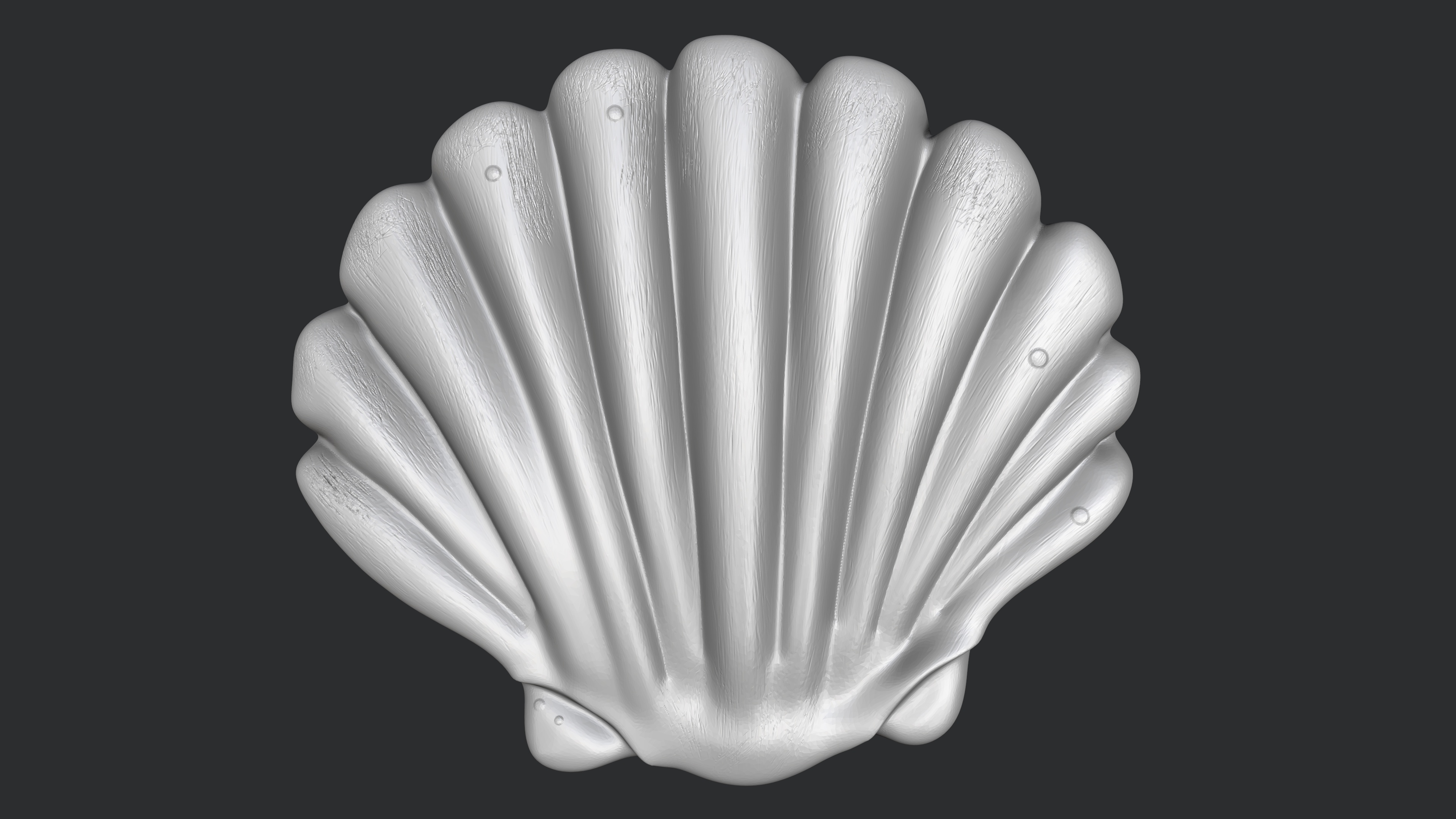 STL file STL models for 3D printing and CNC Set of Seashells・3D print ...