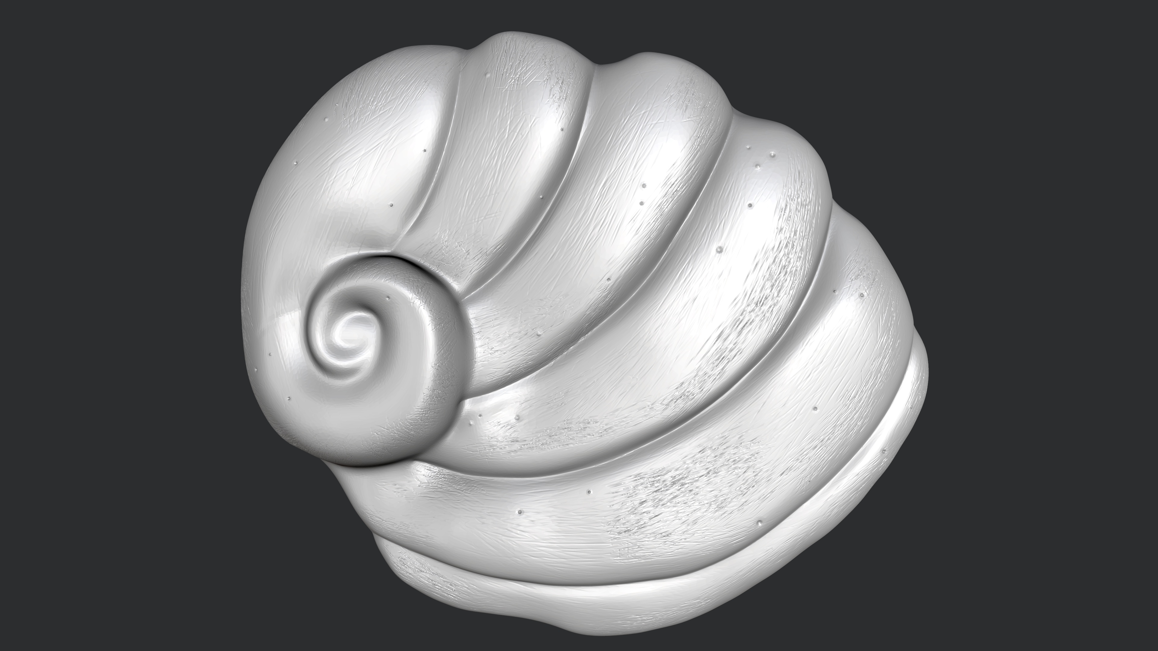 STL file STL models for 3D printing and CNC Set of Seashells・3D print ...