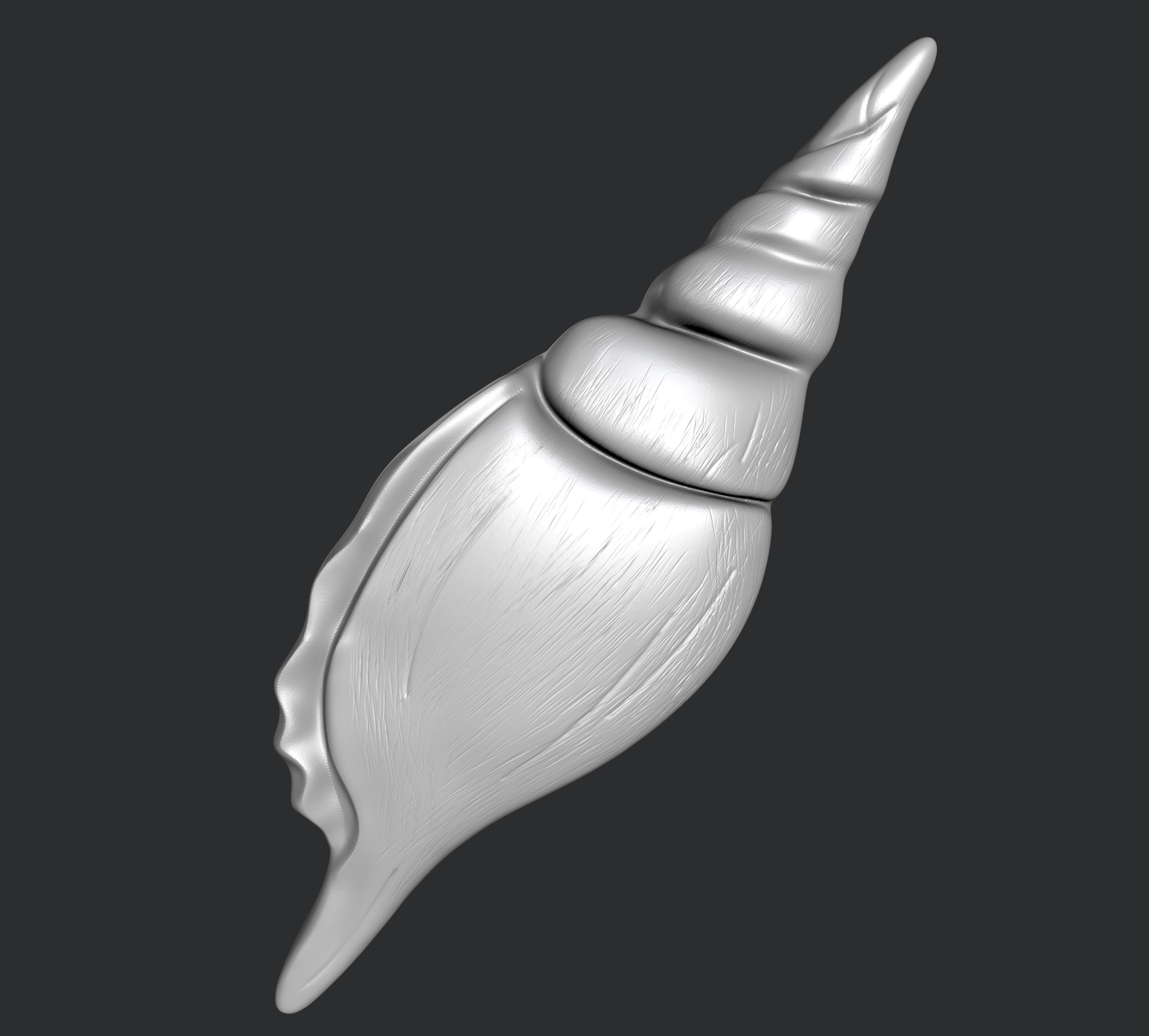 STL file STL models for 3D printing and CNC Set of Seashells・3D print ...