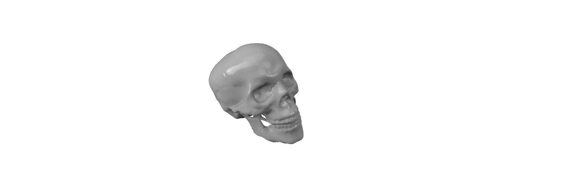 Free STL file Simple Human Skull・3D printable object to download・Cults