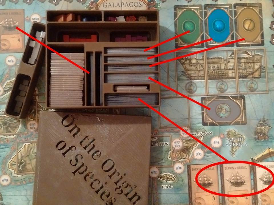 Free STL file On the Origin of Species Storage Solution・3D printing ...