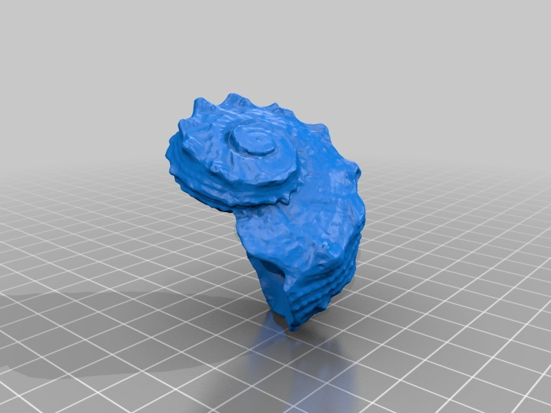 Free STL file Sea Shell - 3D Scan 🐚・Template to download and 3D print・Cults
