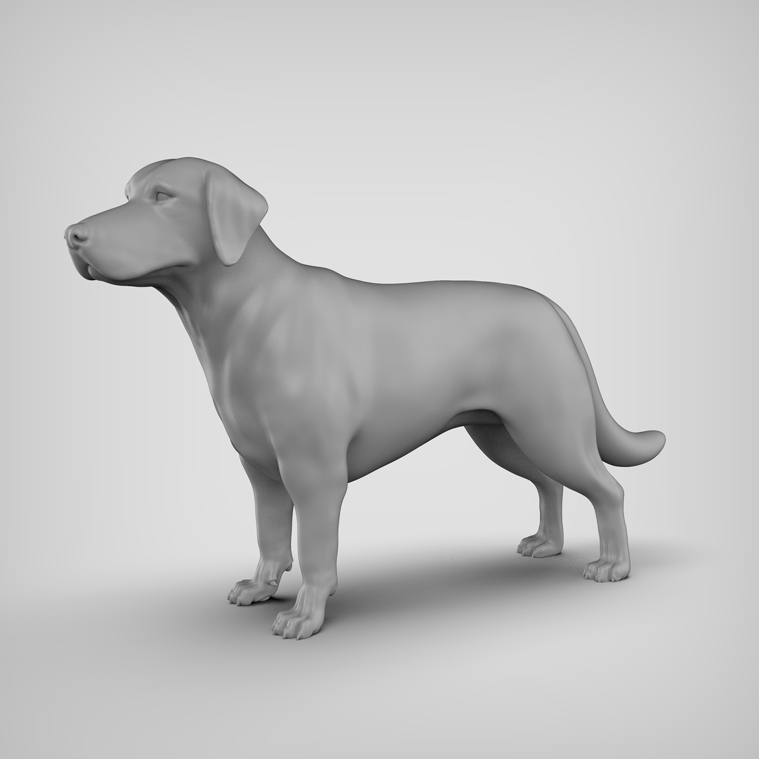 STL file Labrador Retriever Pose 01・3D printable design to download・Cults