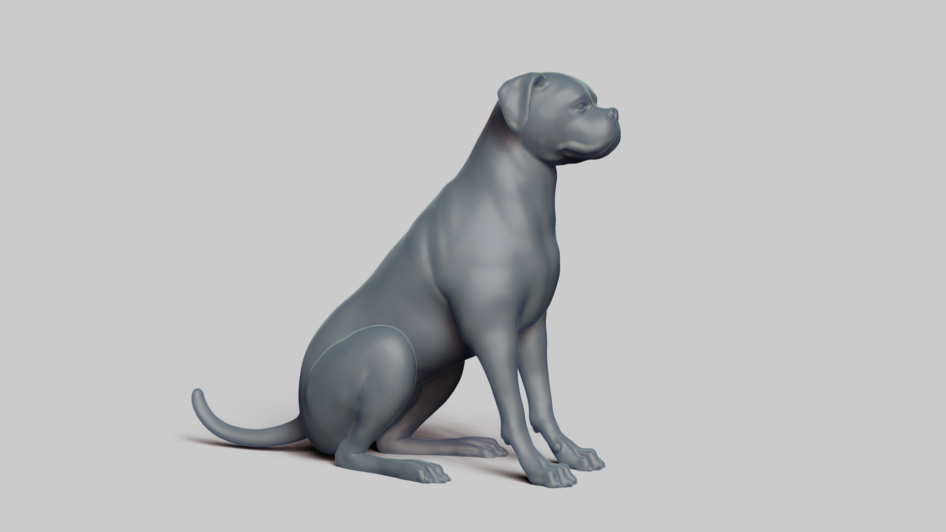STL file Boxer Dog V2 🐕・3D printable model to download・Cults
