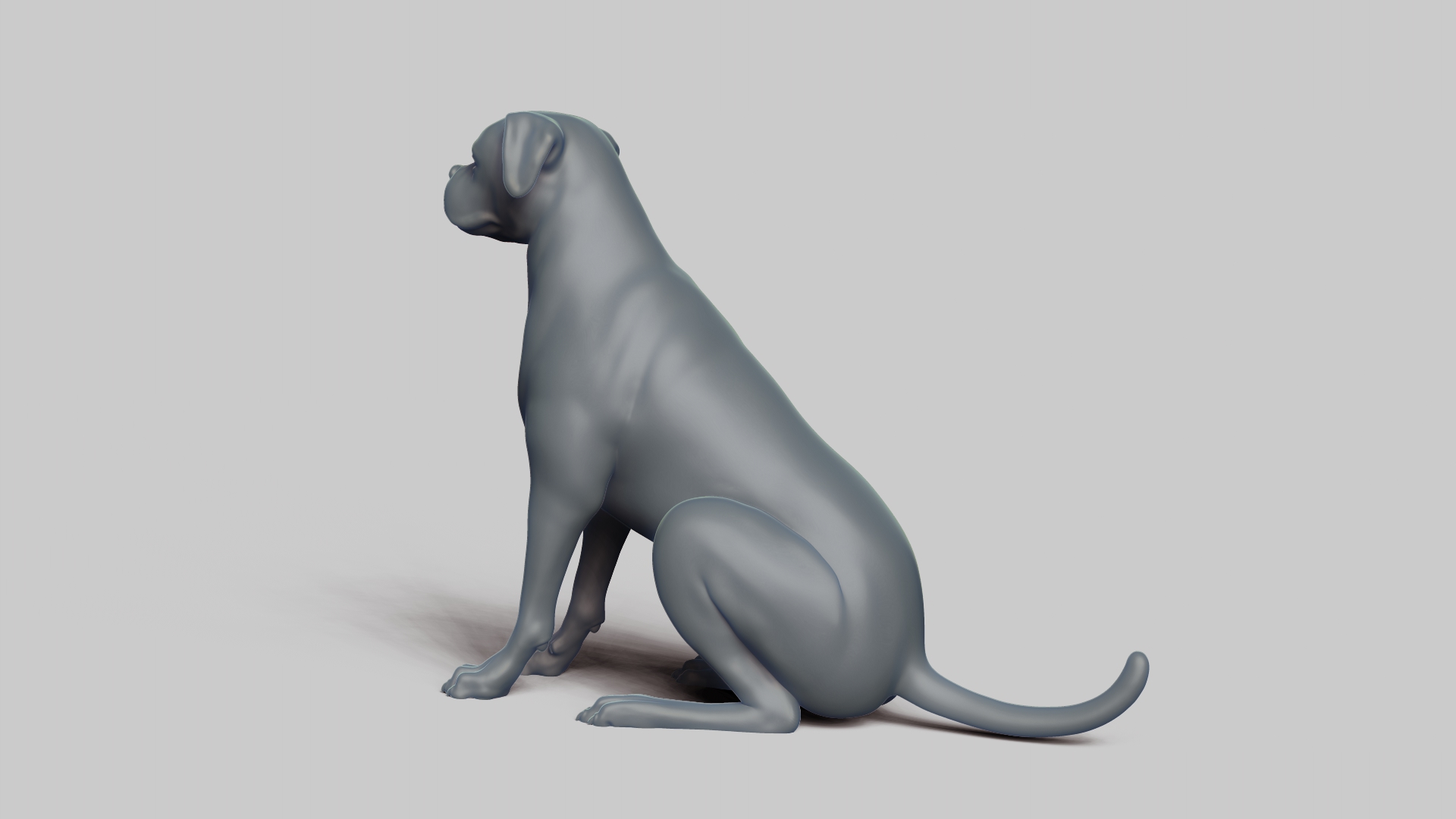 STL file Boxer Dog V2 🐕・3D printable model to download・Cults