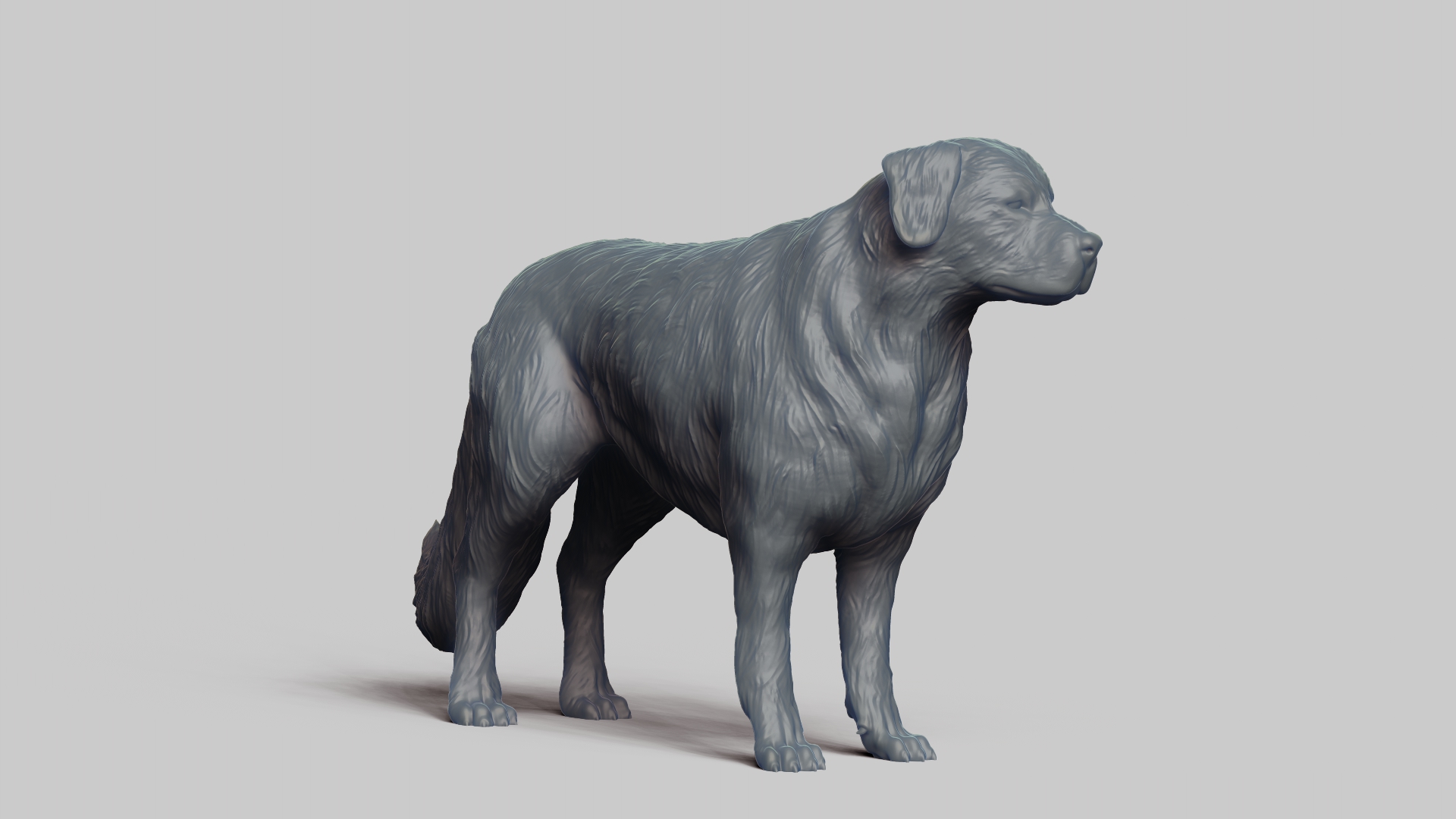 STL file Golden Retriever V1・Model to download and 3D print・Cults