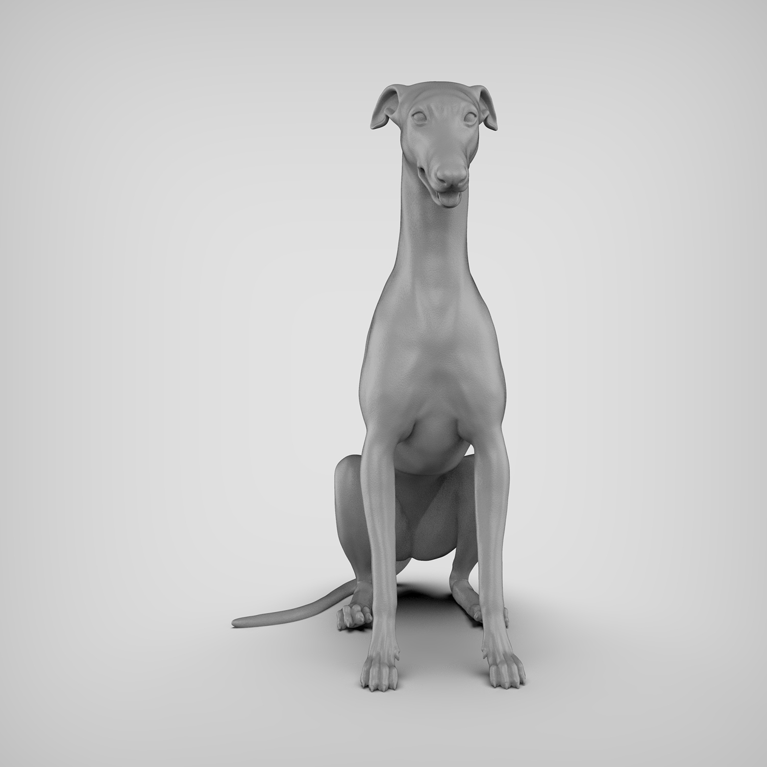 STL file Greyhound Pose 03・3D printable design to download・Cults