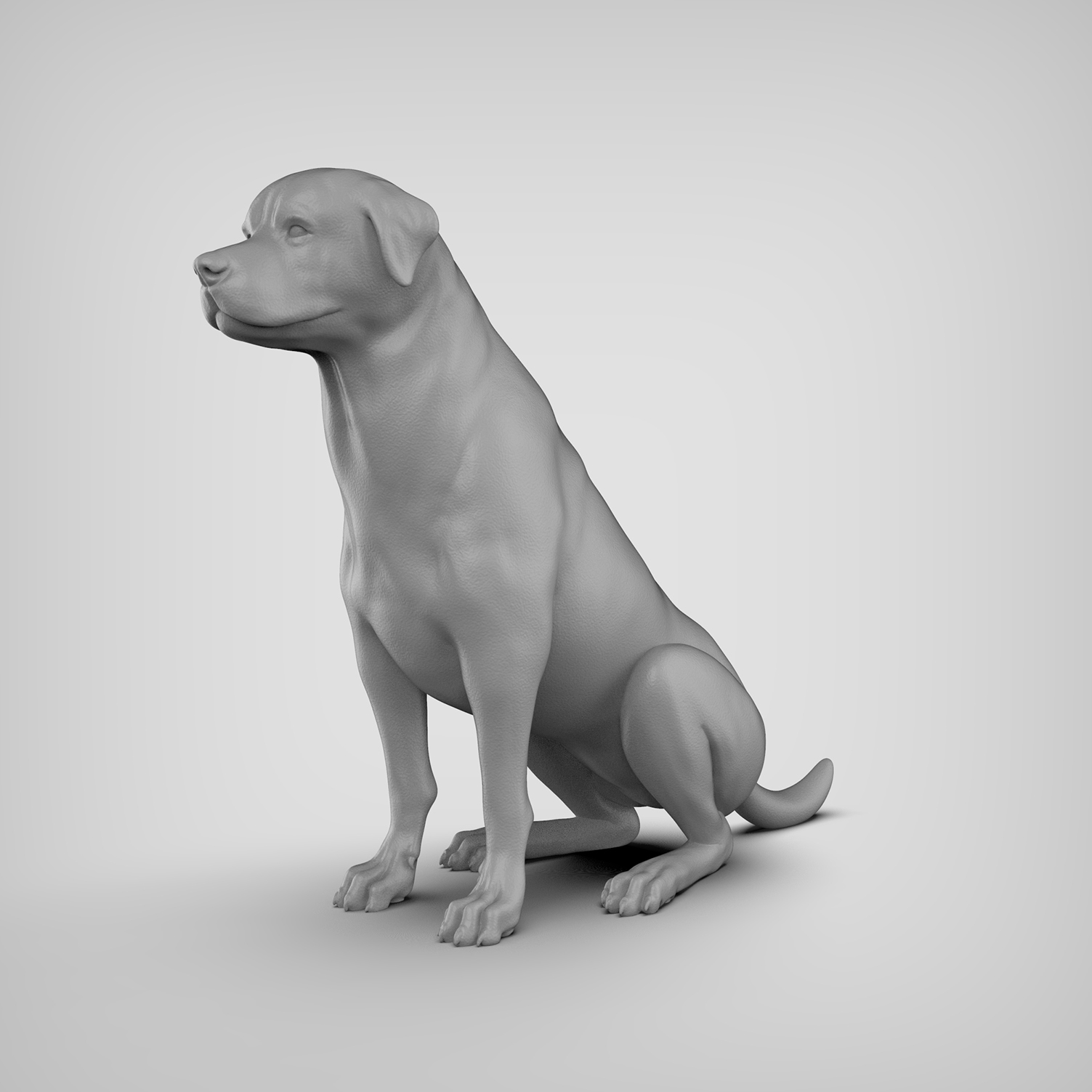 STL file Rottweiler Pose 03・3D printer model to download・Cults