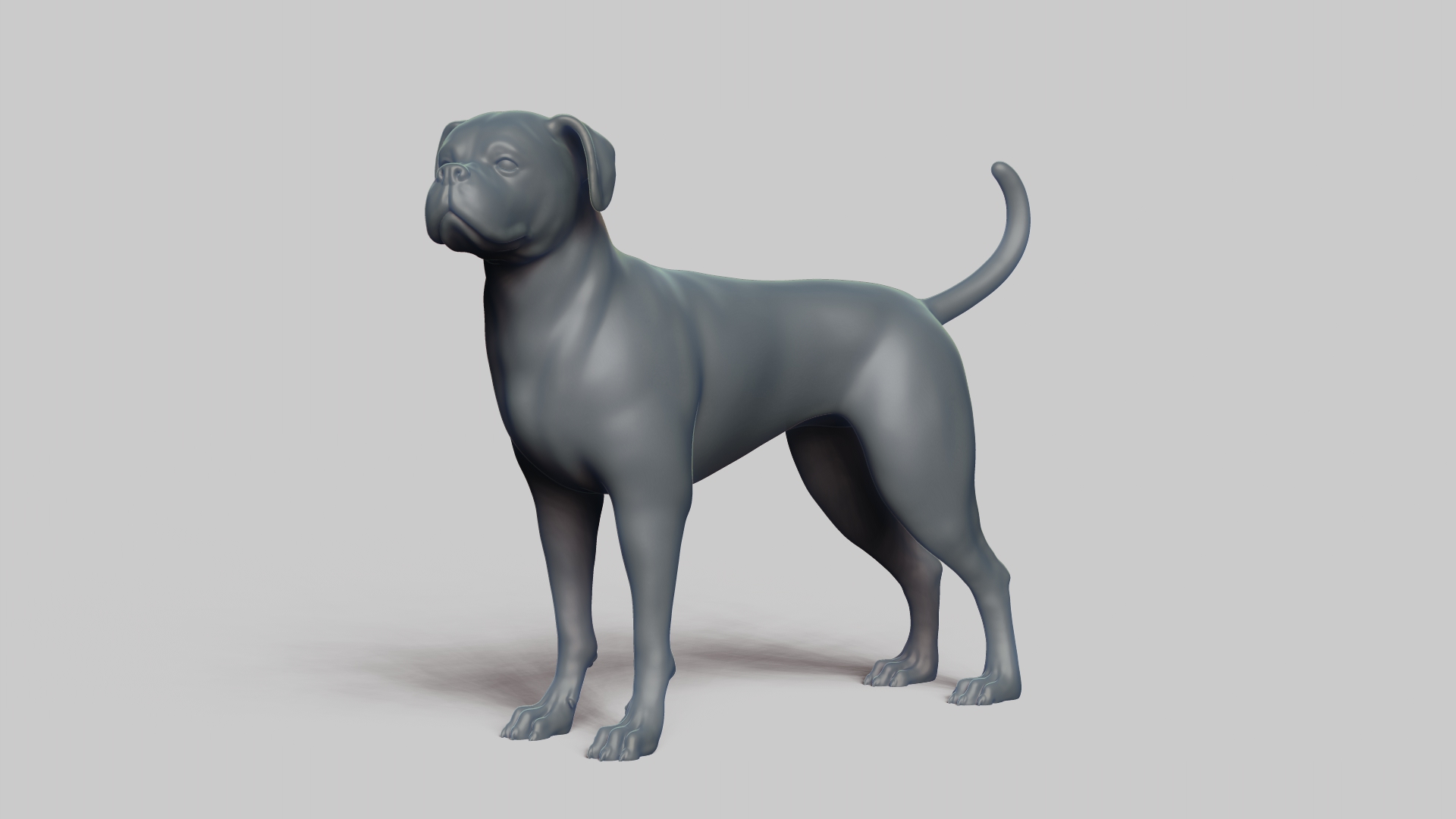 STL file Boxer Dog V1・3D printing model to download・Cults