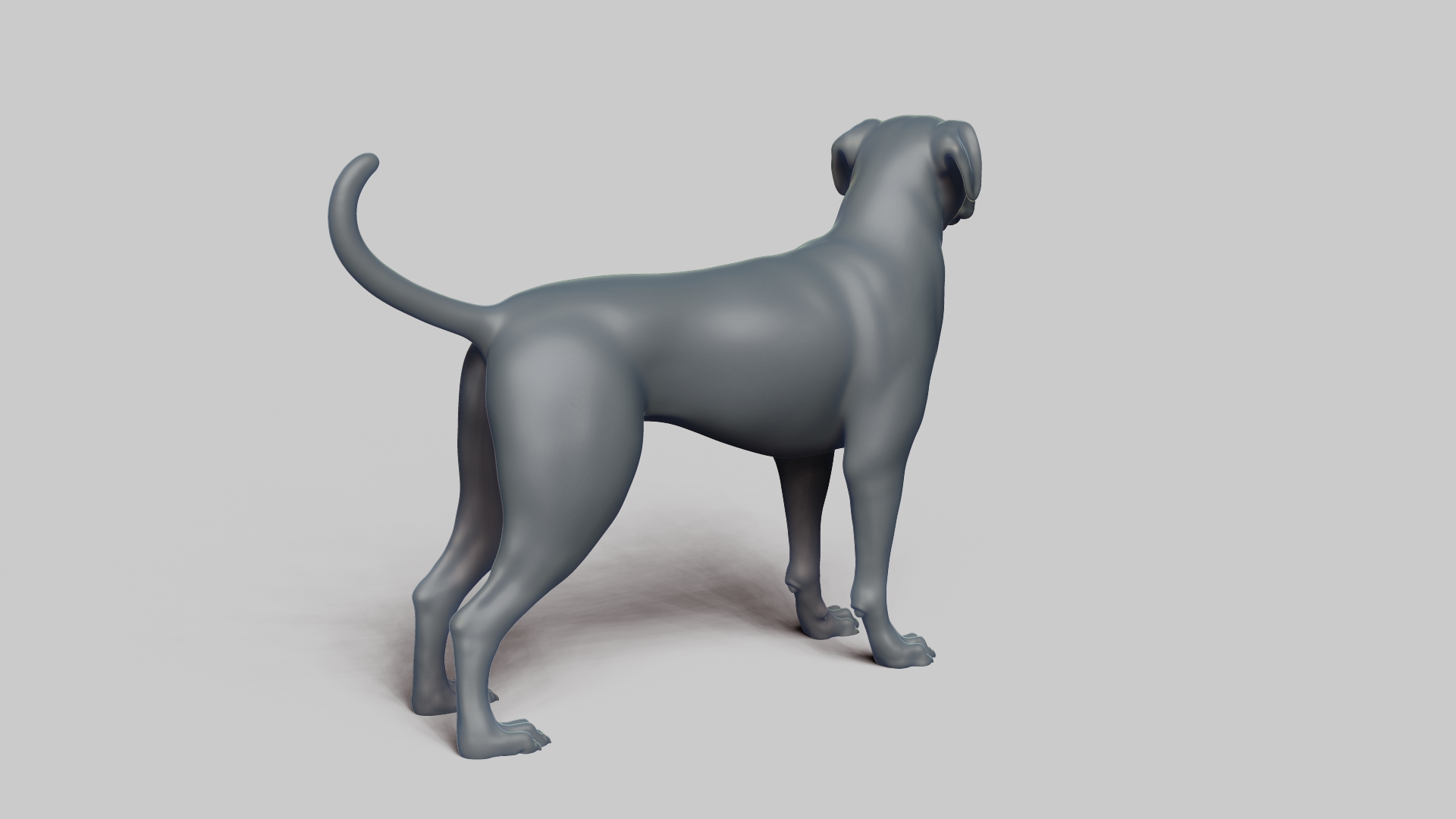 STL file Boxer Dog V1・3D printing model to download・Cults