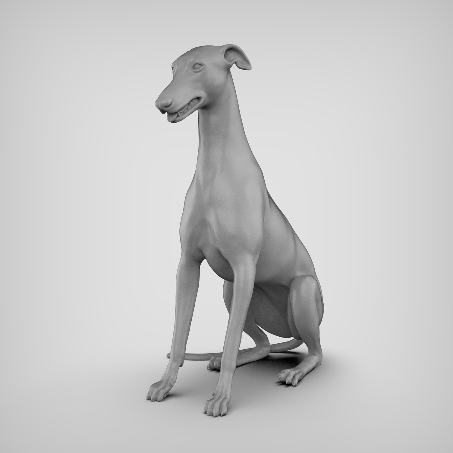 STL file Greyhound Pose 03・3D printable design to download・Cults
