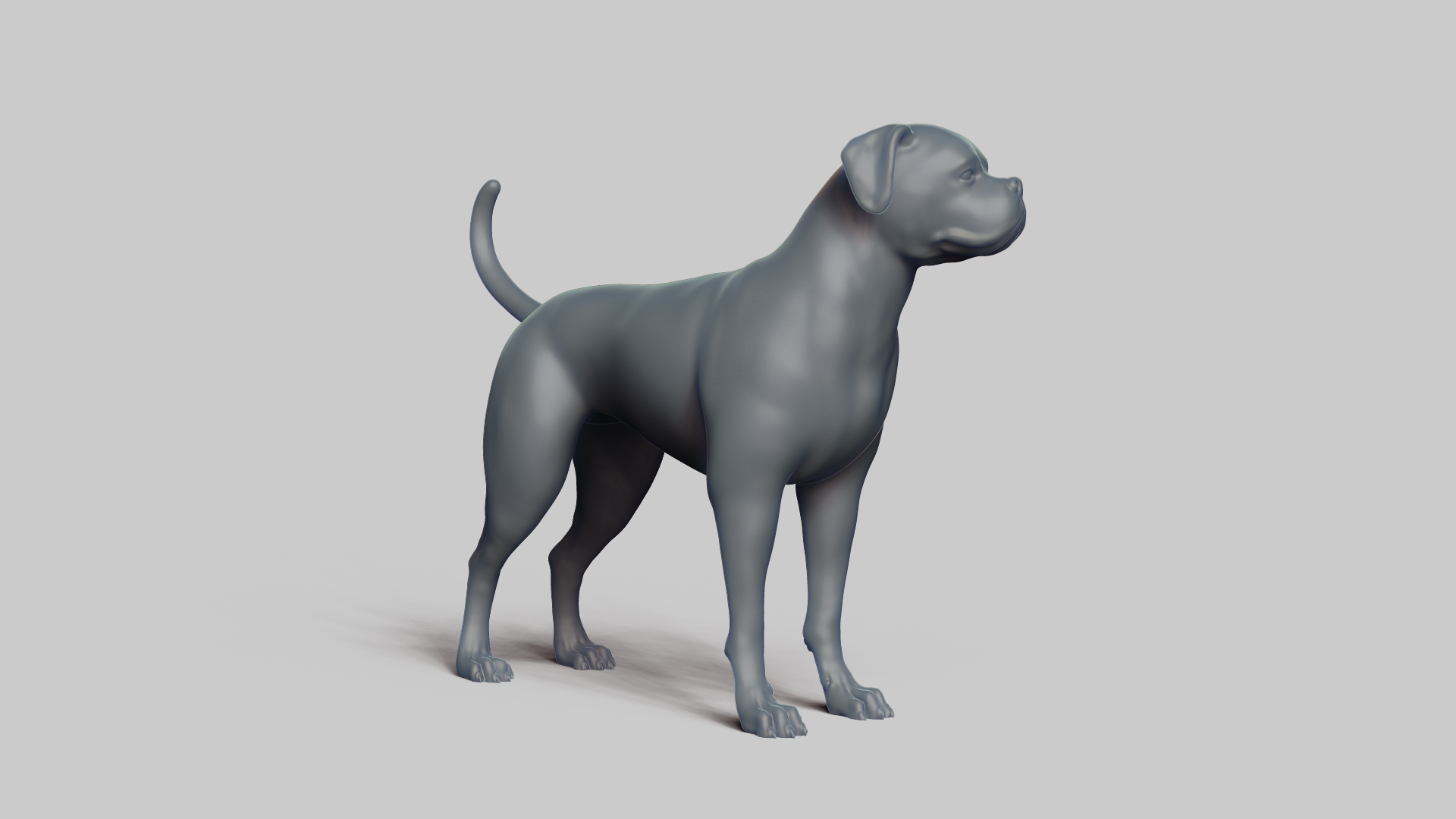 STL file Boxer Dog V1・3D printing model to download・Cults