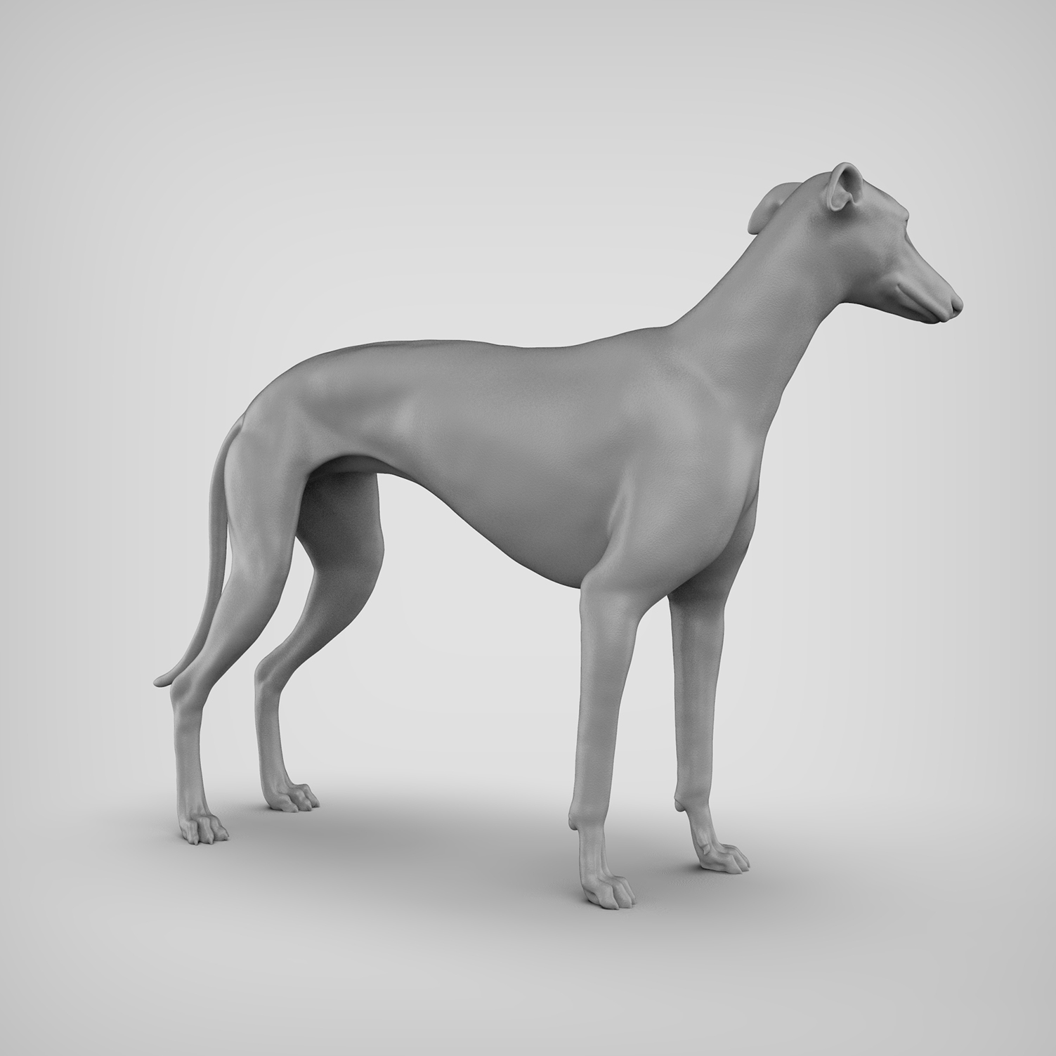 STL file Greyhound Pose 01・3D printer design to download・Cults